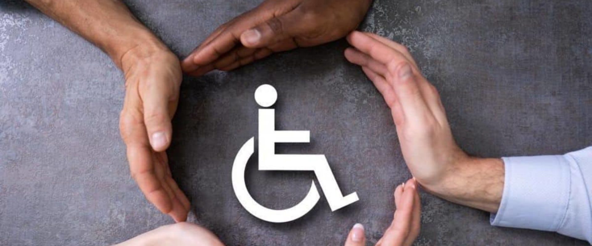 What information is available about providers on the ndis provider finder?